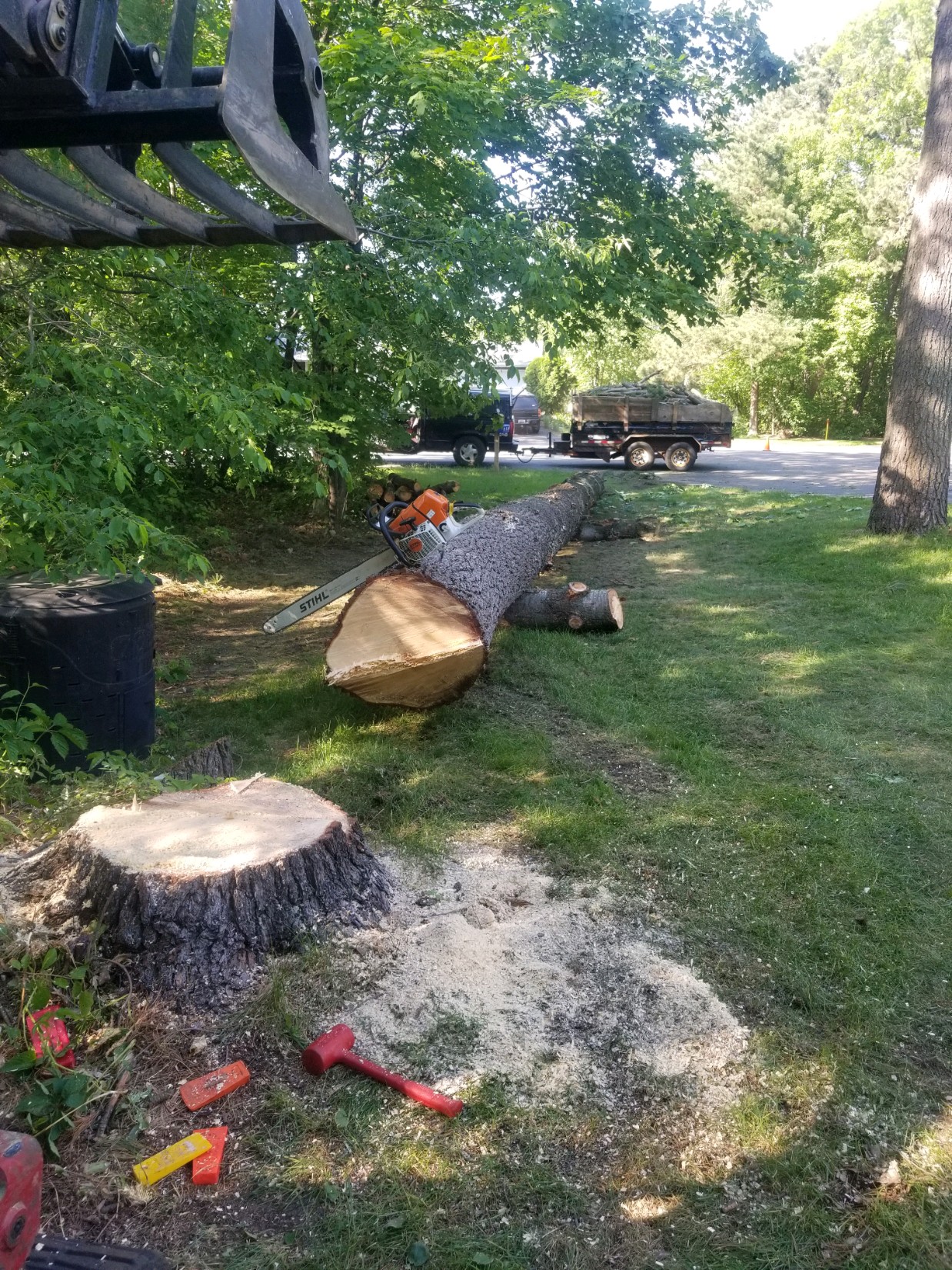 Aerial Arborist LLC – Tree services in Wausau, Wisconsin